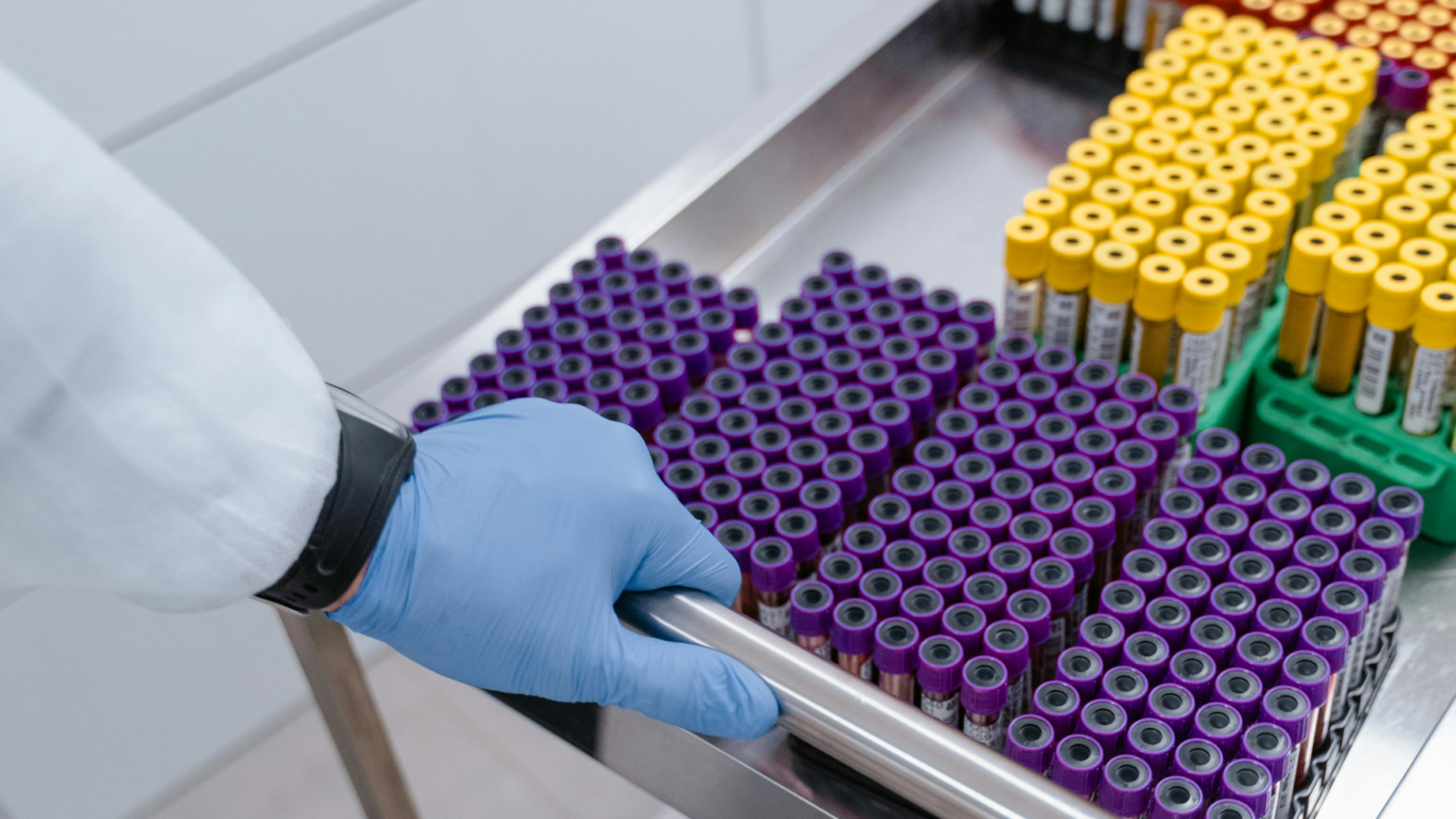 A Comprehensive Guide to International Sample Shipping: How to Avoid ...